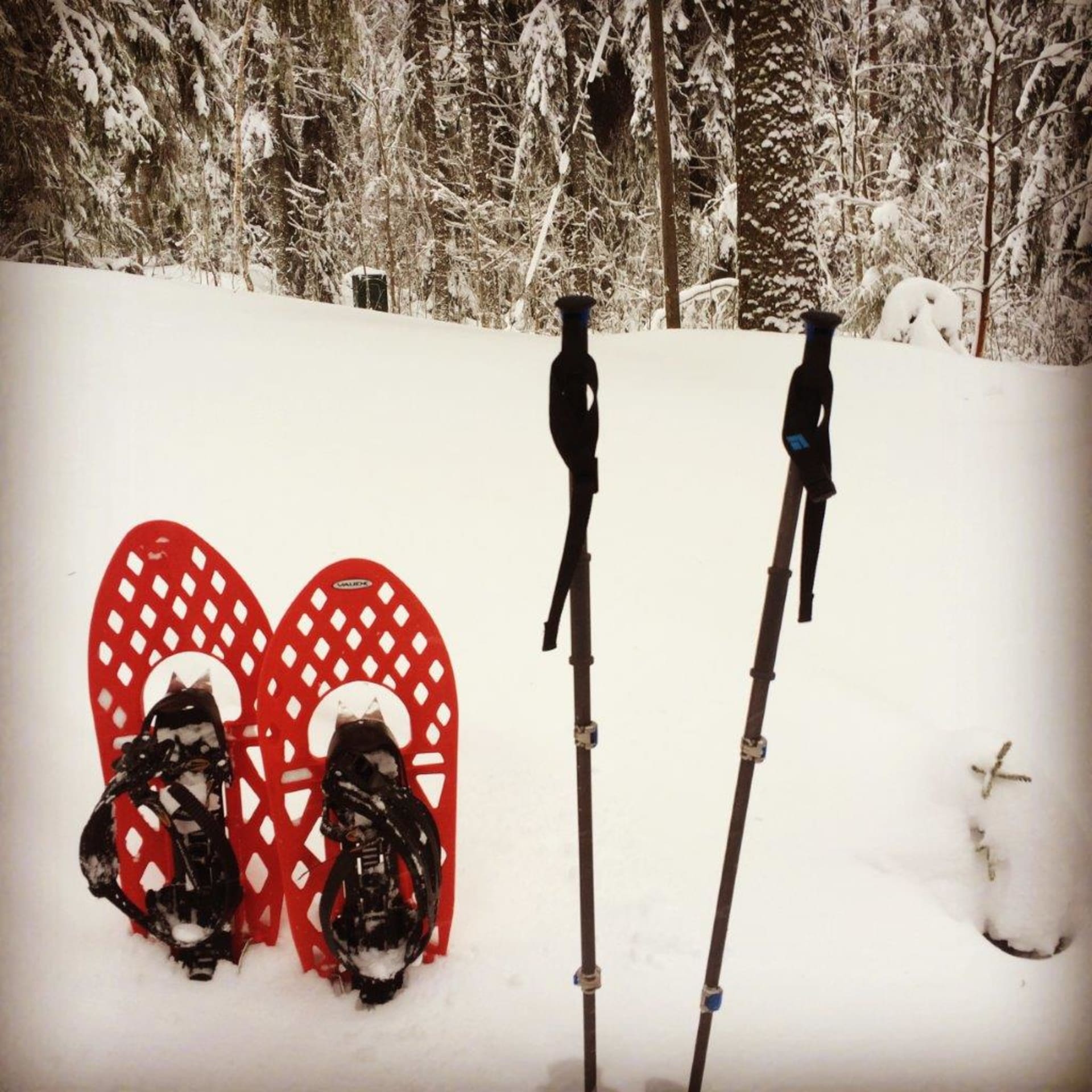 Guided snowshoe trip | Visit Finland