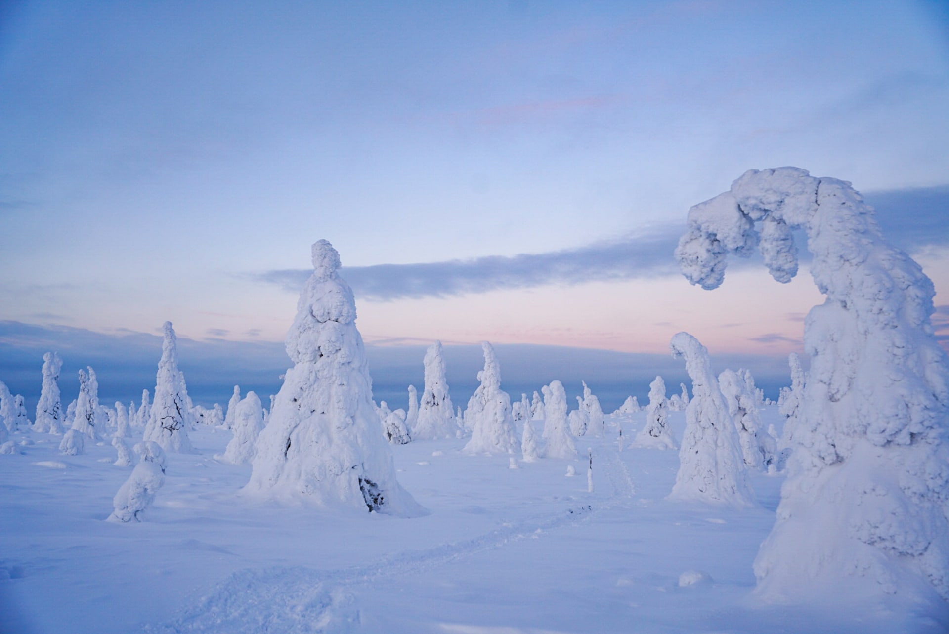 Arctic Adventure through Magical Frozen Forests of Riisitunturi | Visit ...
