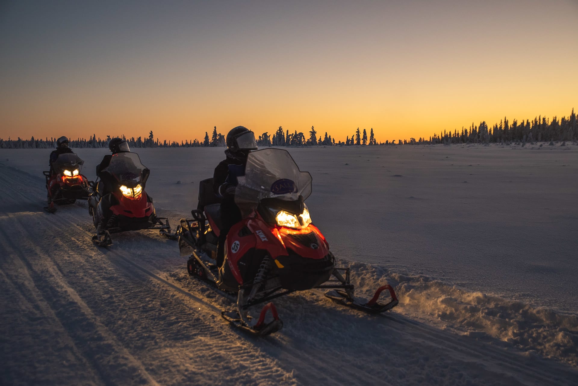 Moonlight Safari | Visit Finland