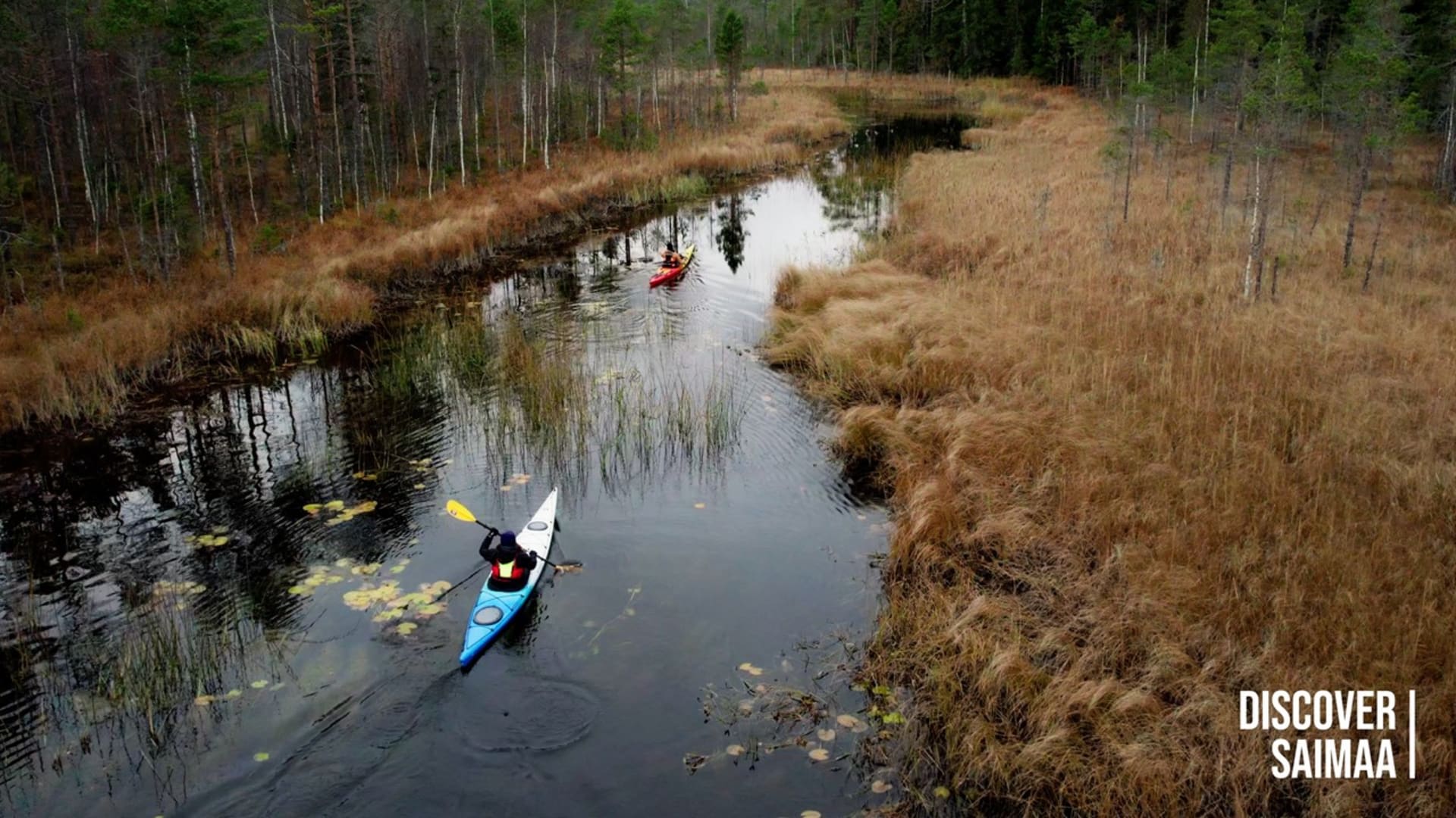 A one day autumn kayak trip to the Lieviskänjoki | Visit Finland