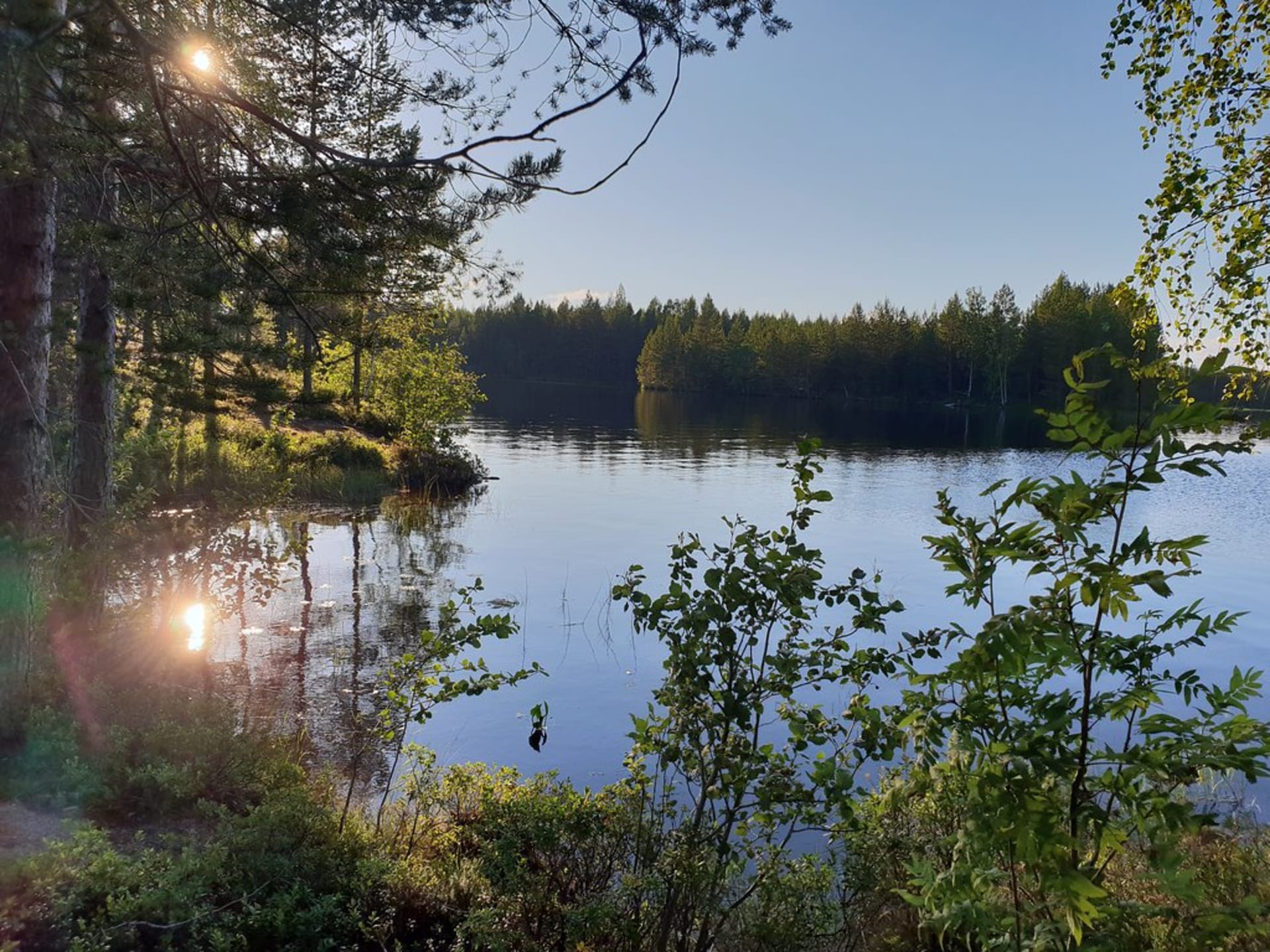 Paddling from Koitajoki to Koitere, 50-76km | Visit Finland