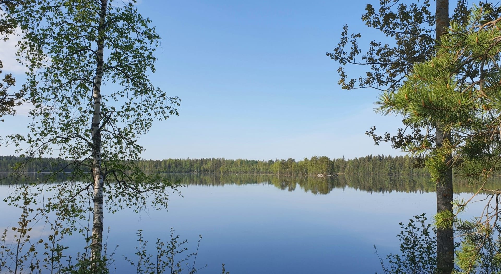 Tuulenpesä - nature and tranquility in Juva | Visit Finland