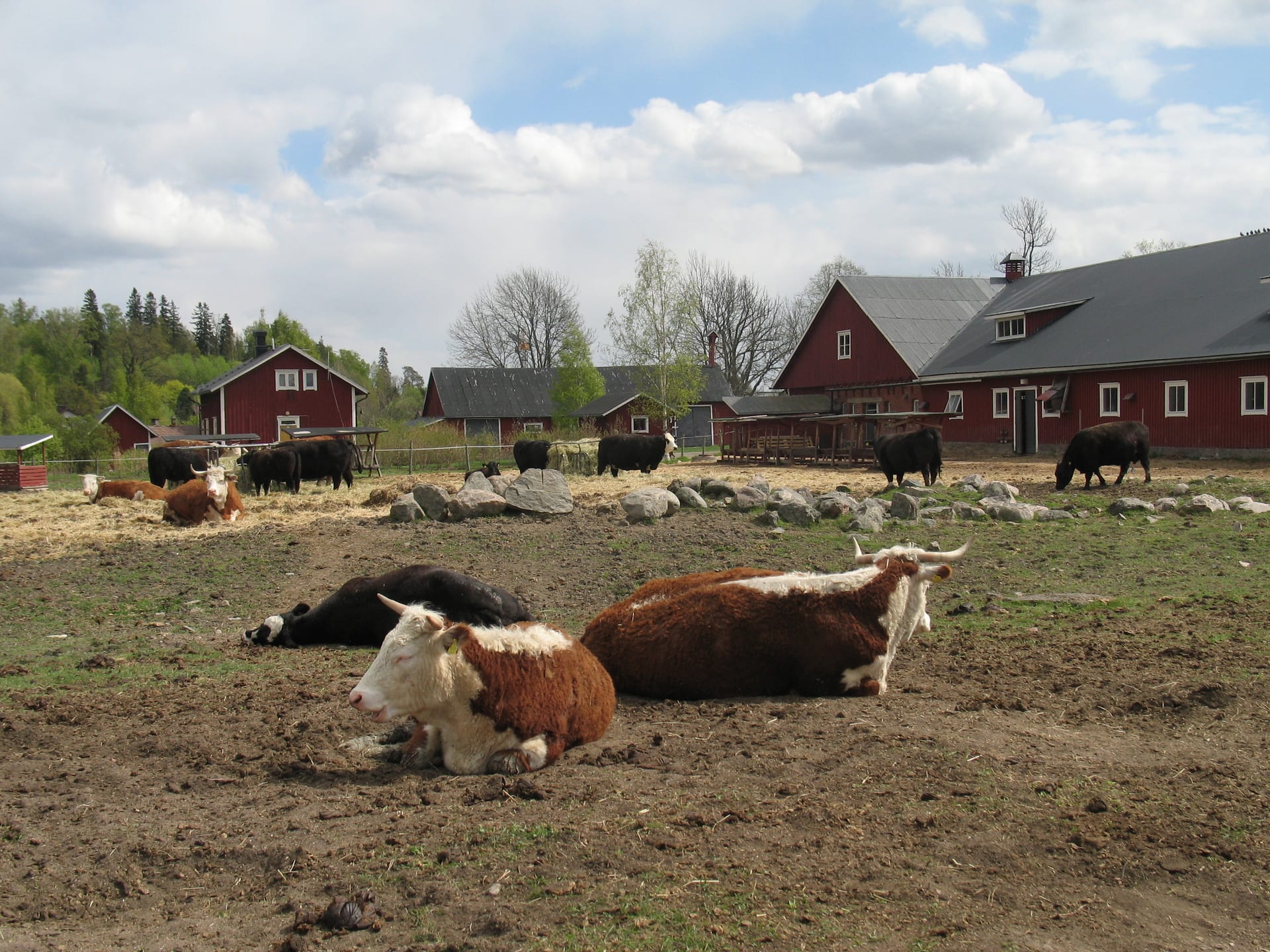 Haltiala farm | Visit Finland