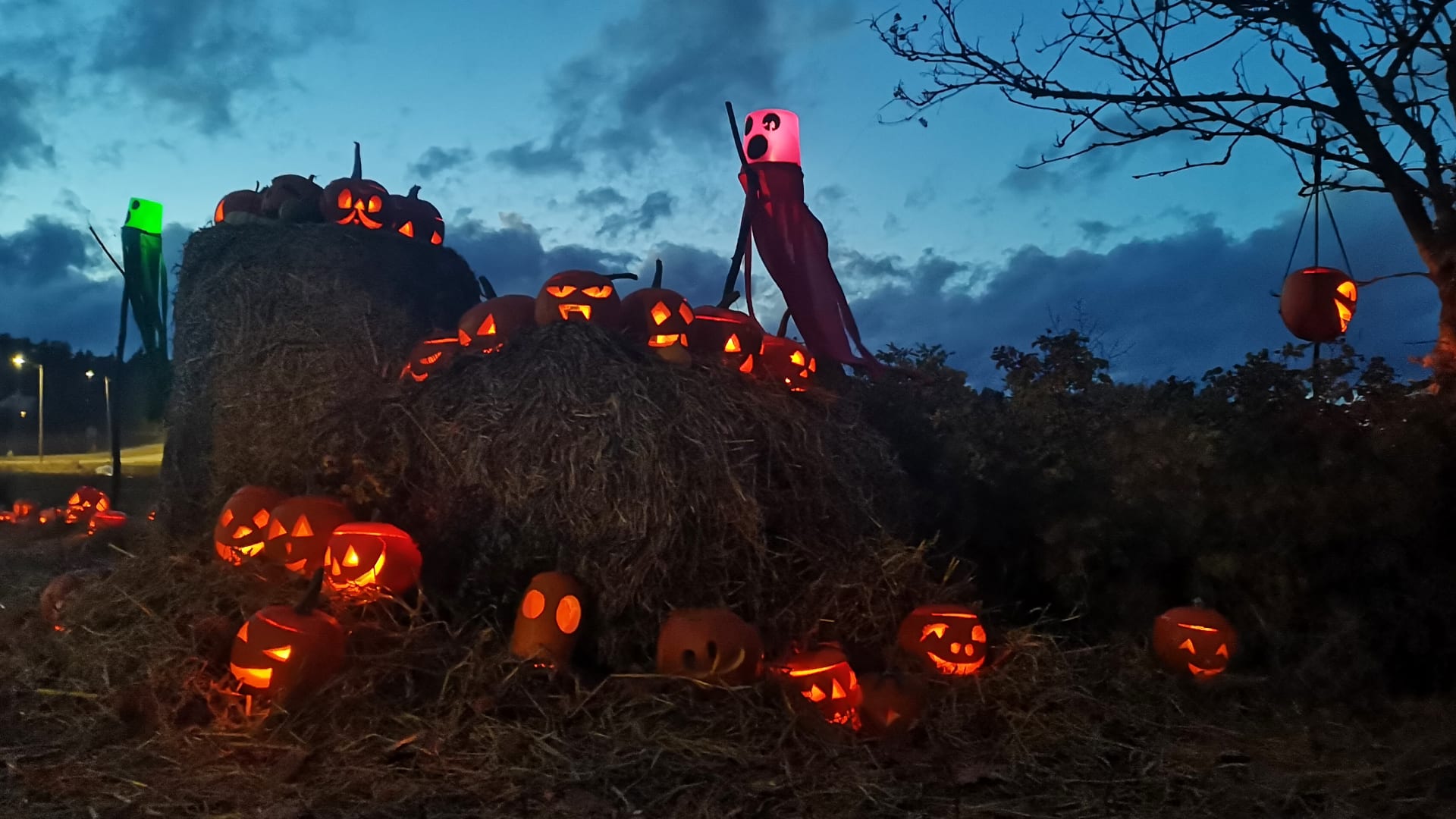 Pumpkin Weeks in Salo | Visit Finland