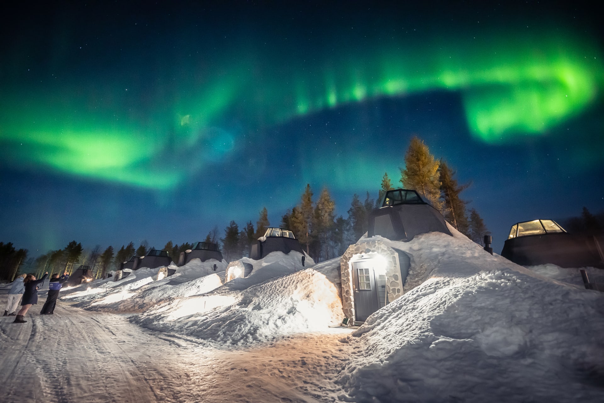 Meet the Arctic Animals package in Apukka Resort, Rovaniemi, 5+ nights ...