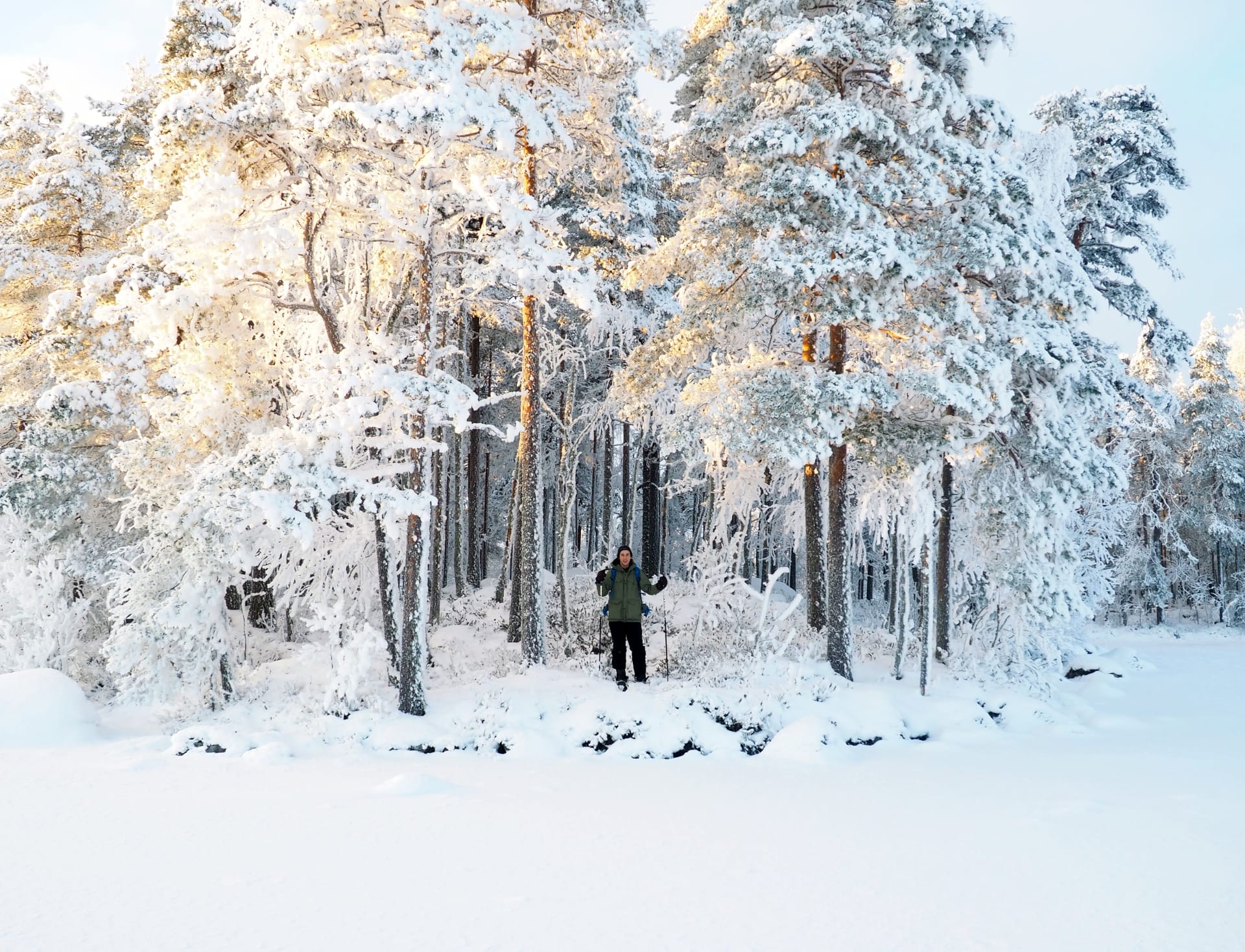 Winter Wonderland Hike | Visit Finland
