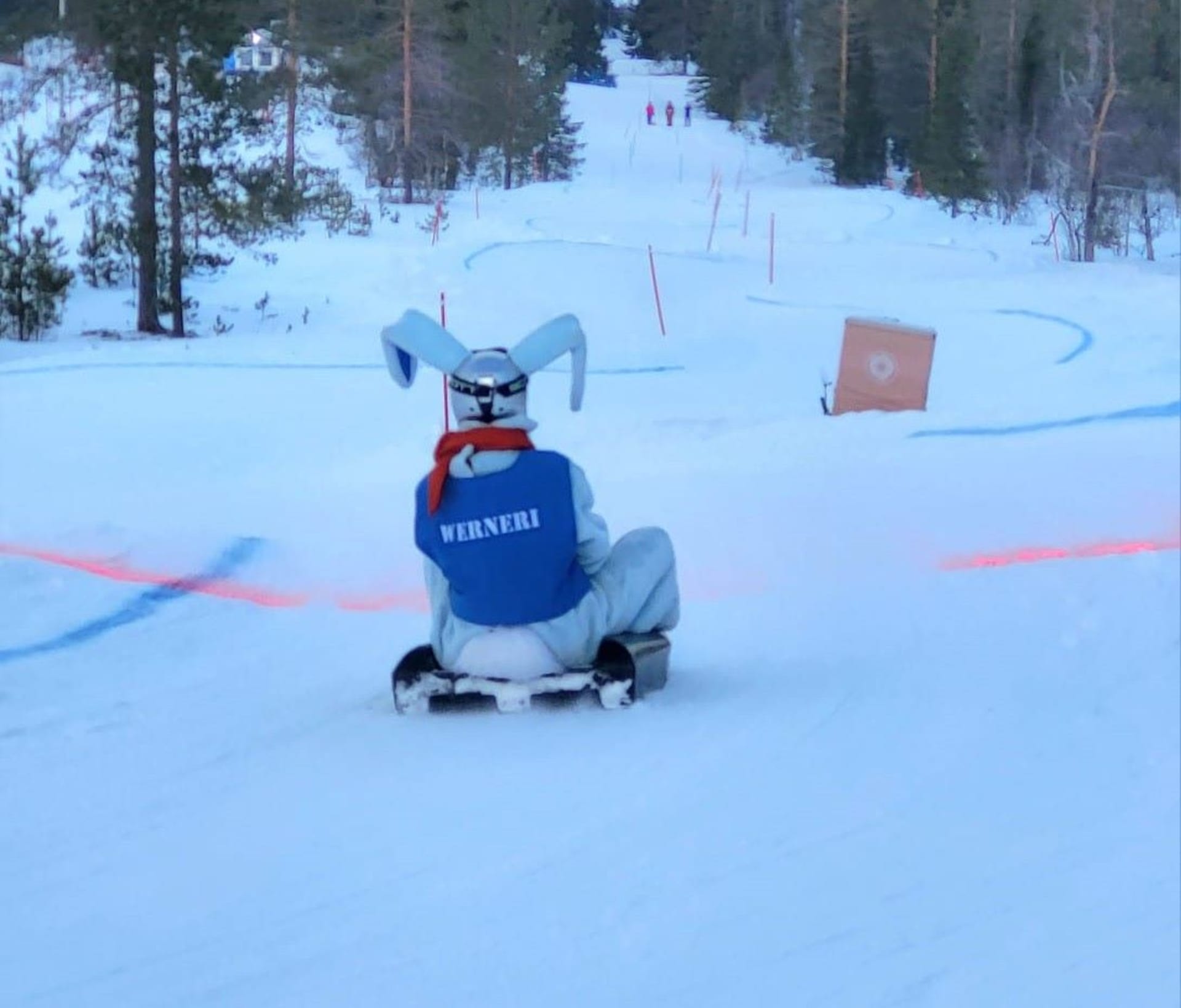 Lift- assisted sledding and MiniPark season opening | Visit Finland