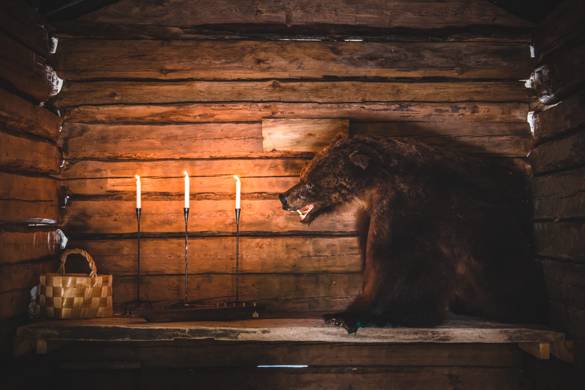 Magic of the Brown Bear | Visit Finland