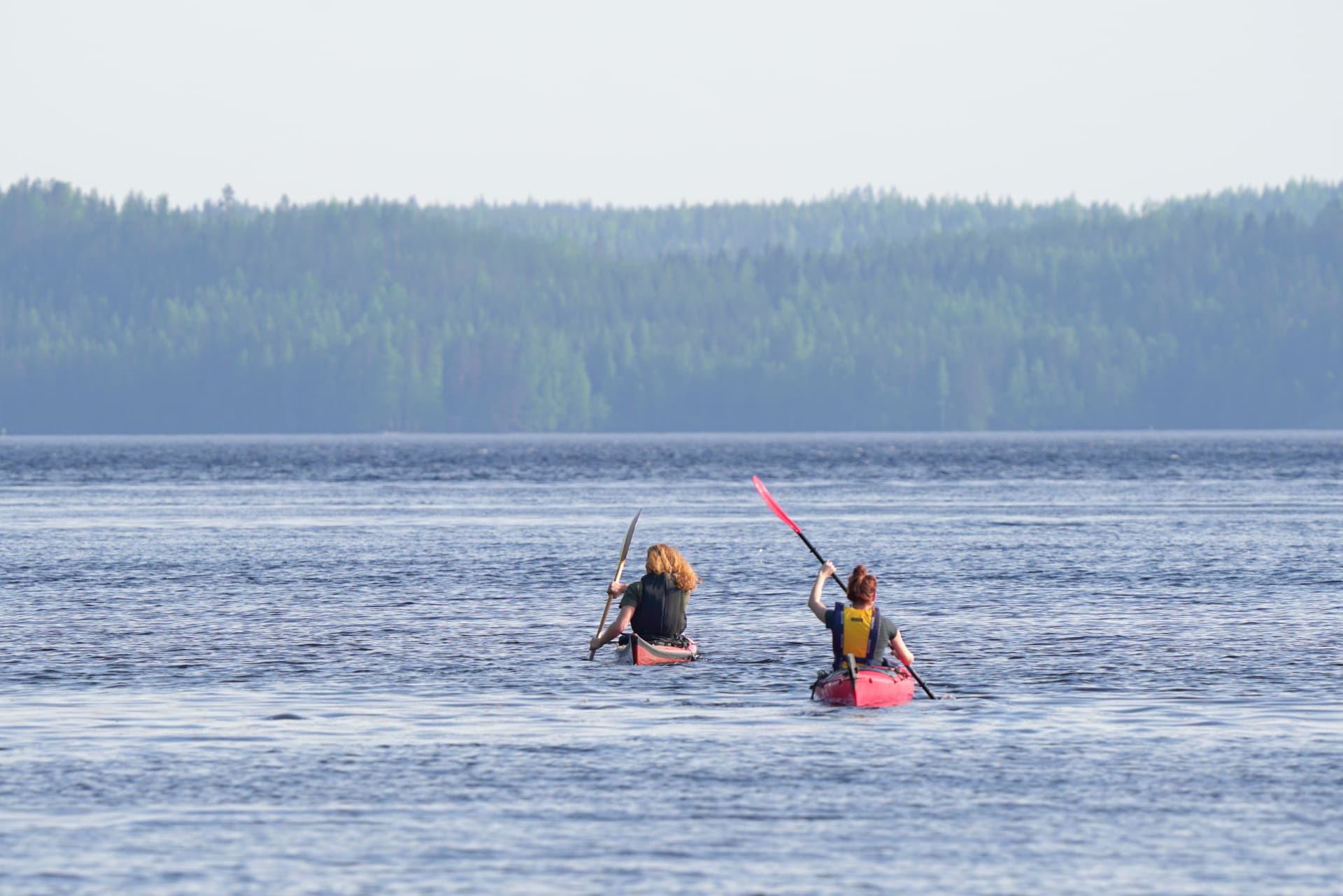 Guided Paddling Tour in Saimaa (kayak / canoe / SUP) | Visit Finland