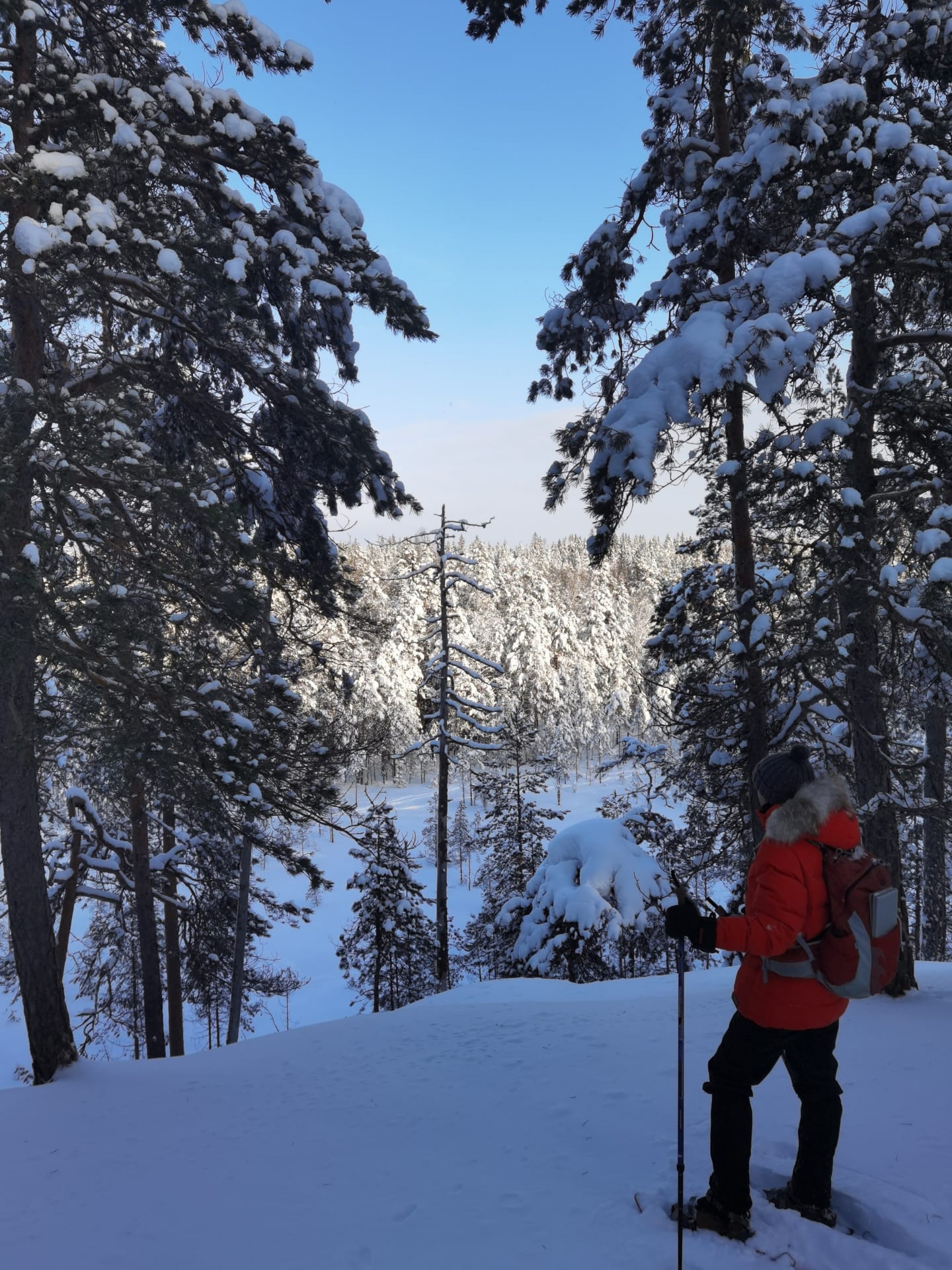 Snowshoe hike at Nuuksio national park, south area | Visit Finland