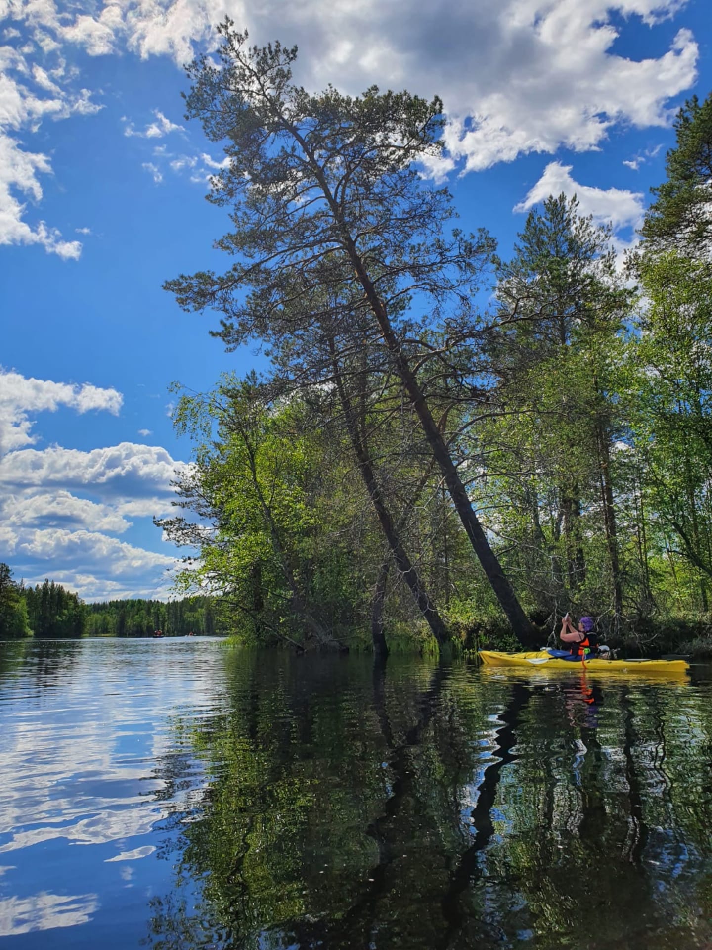 Day paddling in placid and quiet Koitajoki, 12-28km | Visit Finland