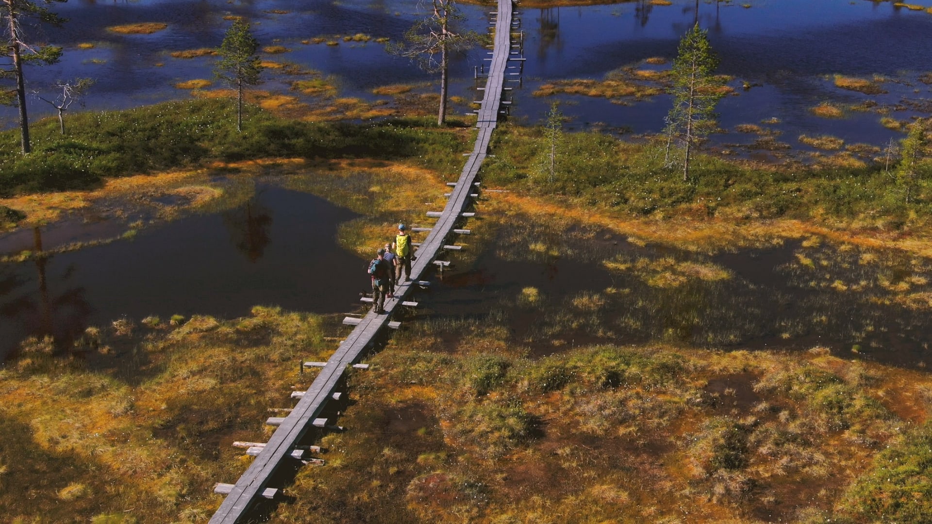 Pyhä-Luosto area | Visit Finland