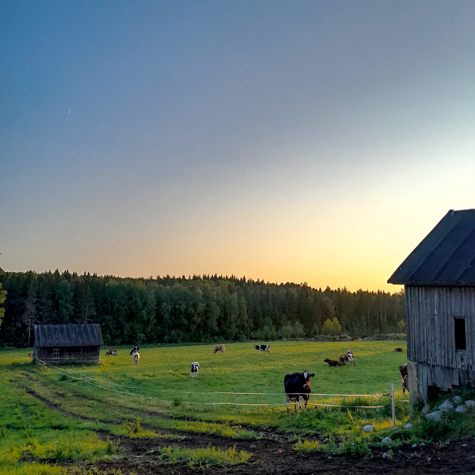 Ollinaho farmstay - Holiday on a real Finnish farm | Visit Finland