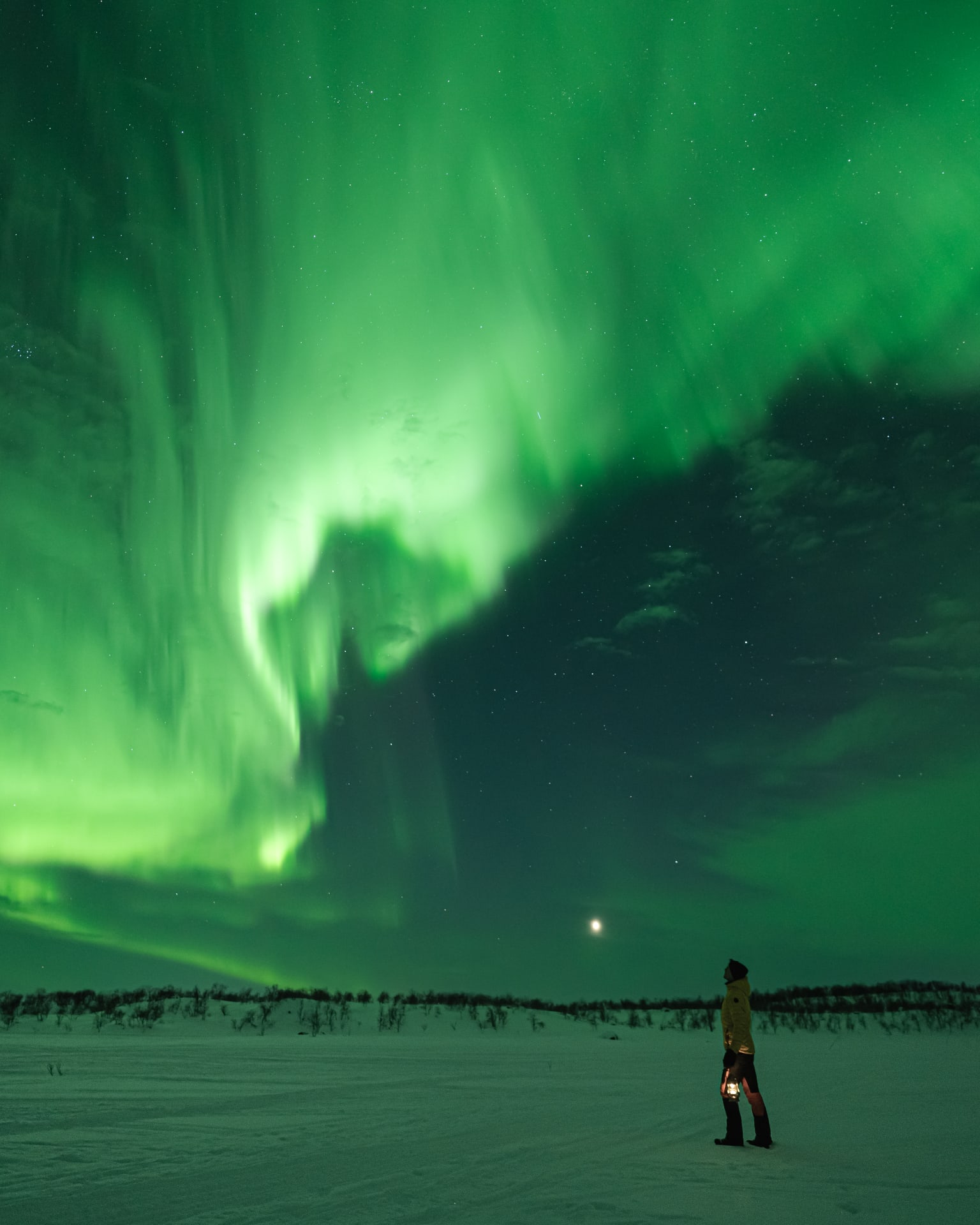 Johka - Private Northern Lights picnic Experience in Rovaniemi, Lapland ...