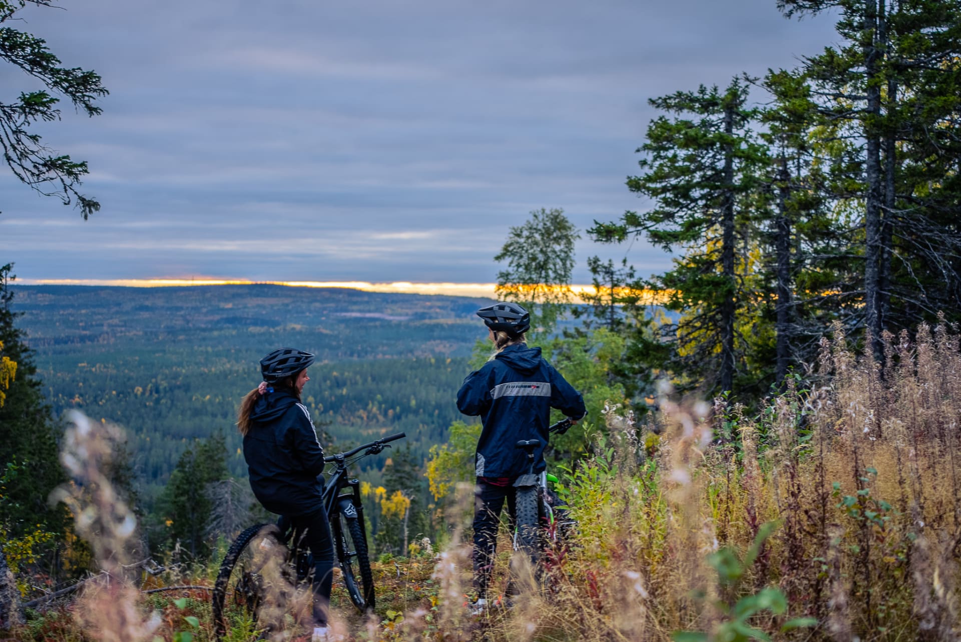 Bike Park Tickets | Visit Finland