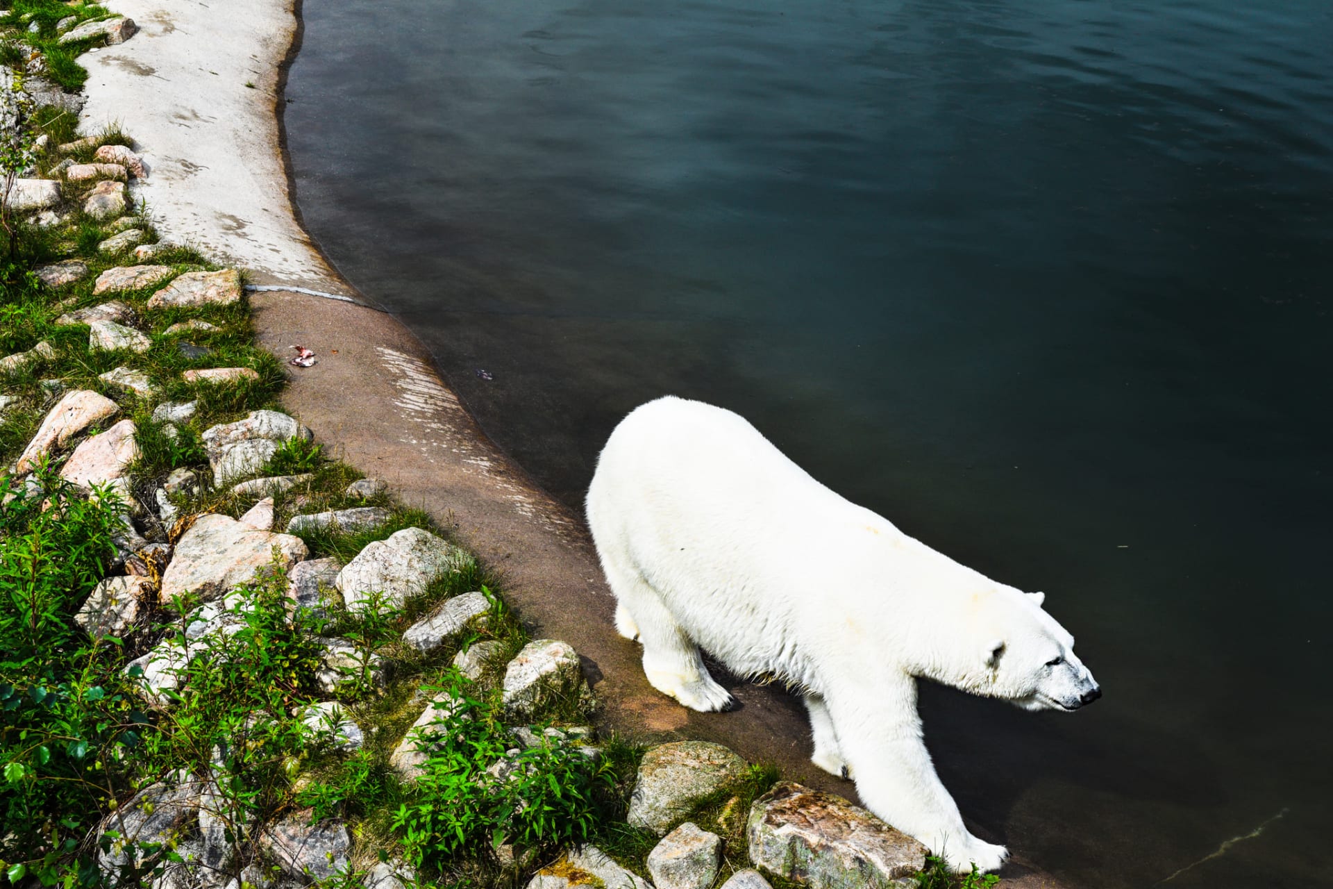 Visit Ranua Arctic Wildlife Park - Rovaniemi | Visit Finland