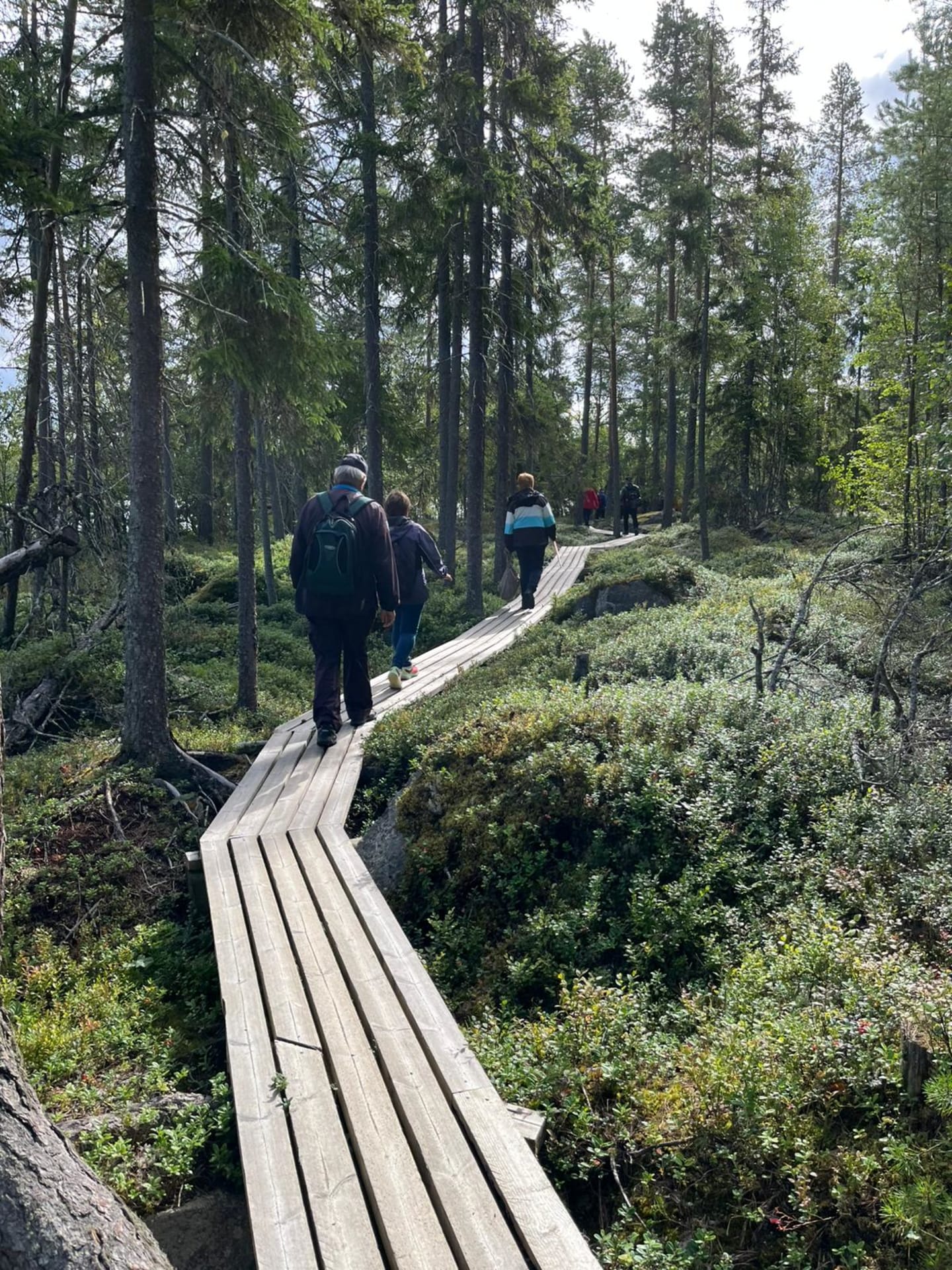 St Olav Ostrobothnia pilgrimage hiking route | Visit Finland