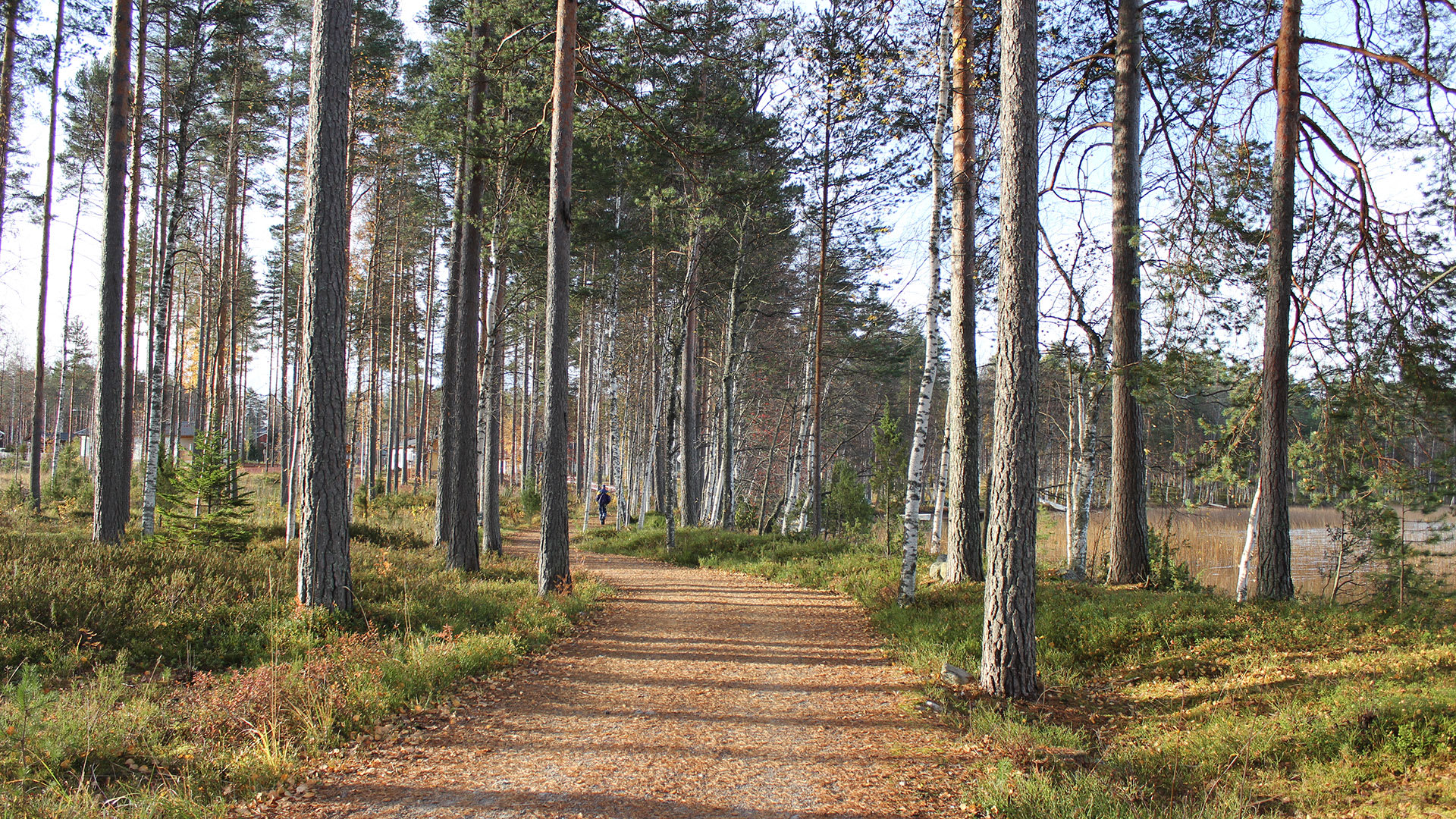 Lakeside Cycling Tour | Visit Finland