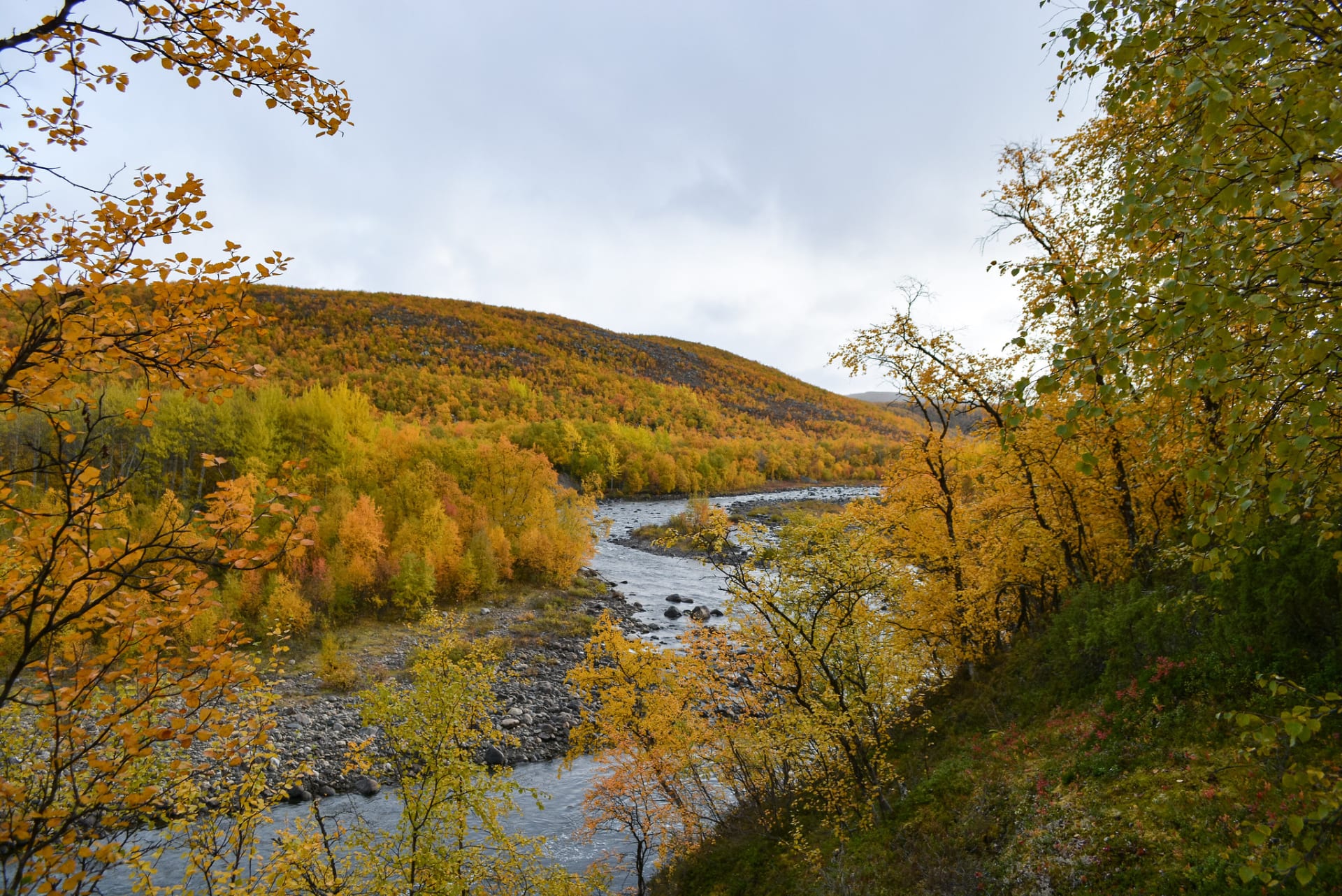 Tour of Autumn Colors | Visit Finland