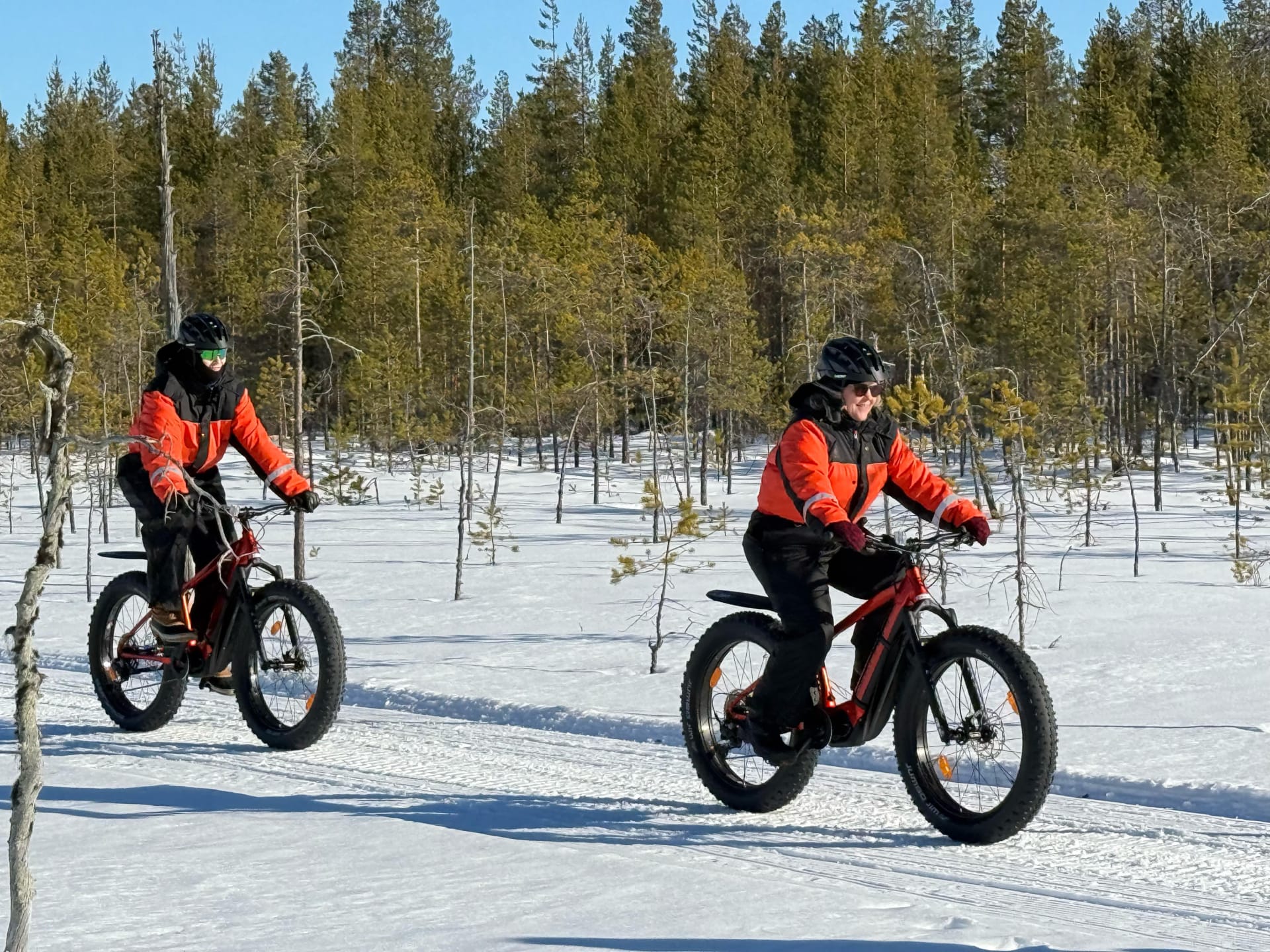 Electric Fat Bike Adventure at a Reindeer Farm in Rovaniemi | Visit Finland