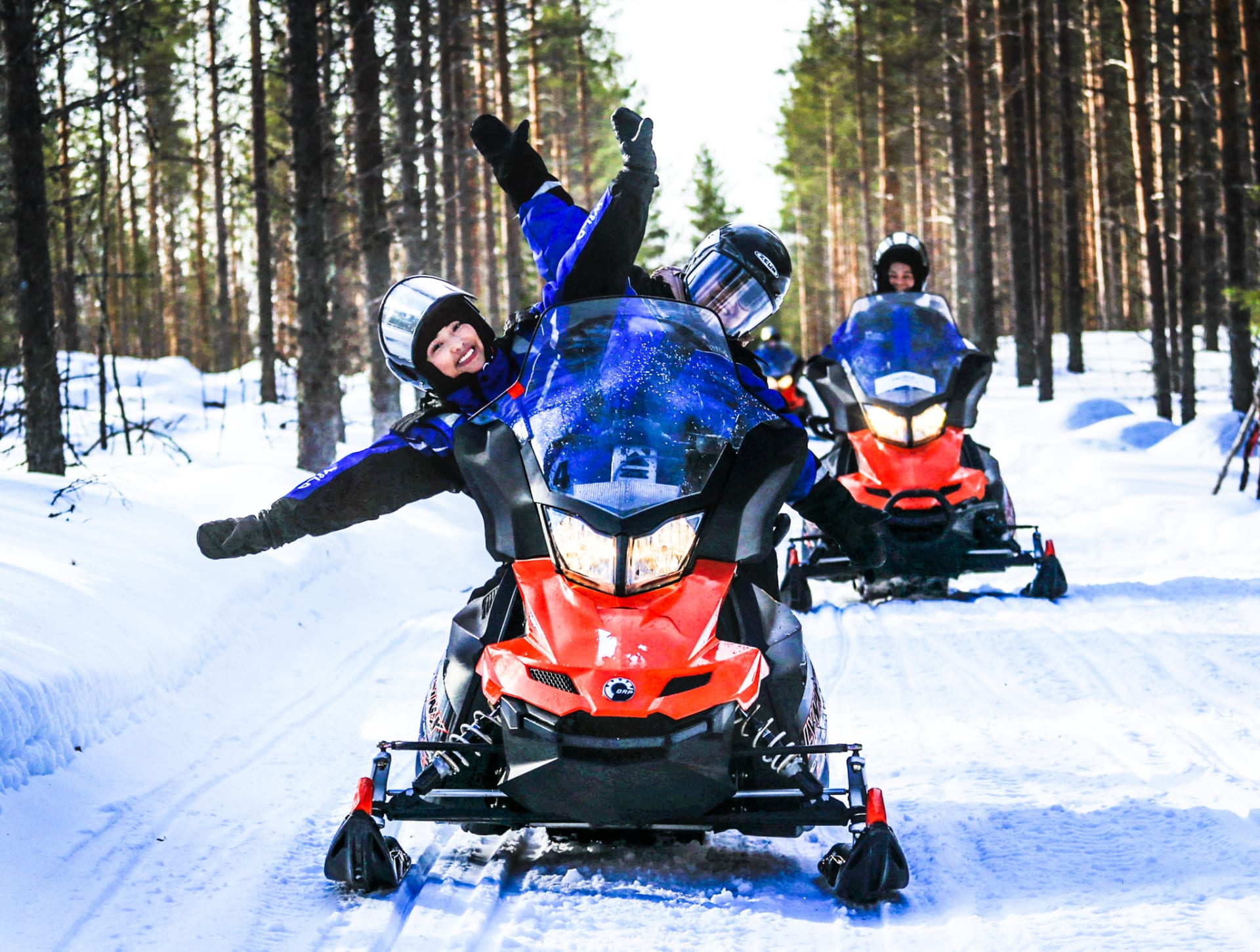 Snowmobile Safari to Reindeer Farm with One Hour Reindeer Safari ...