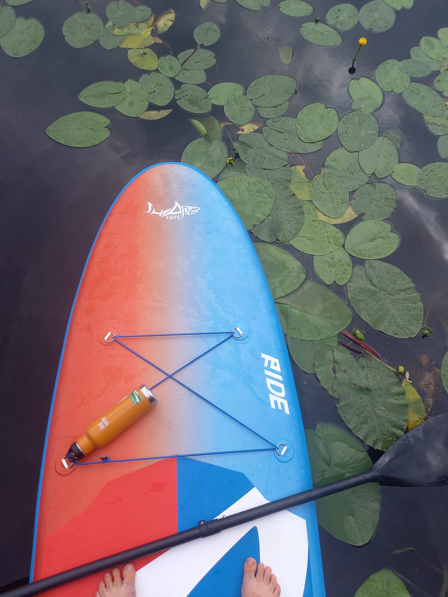 SUP-Board Rental | Visit Finland