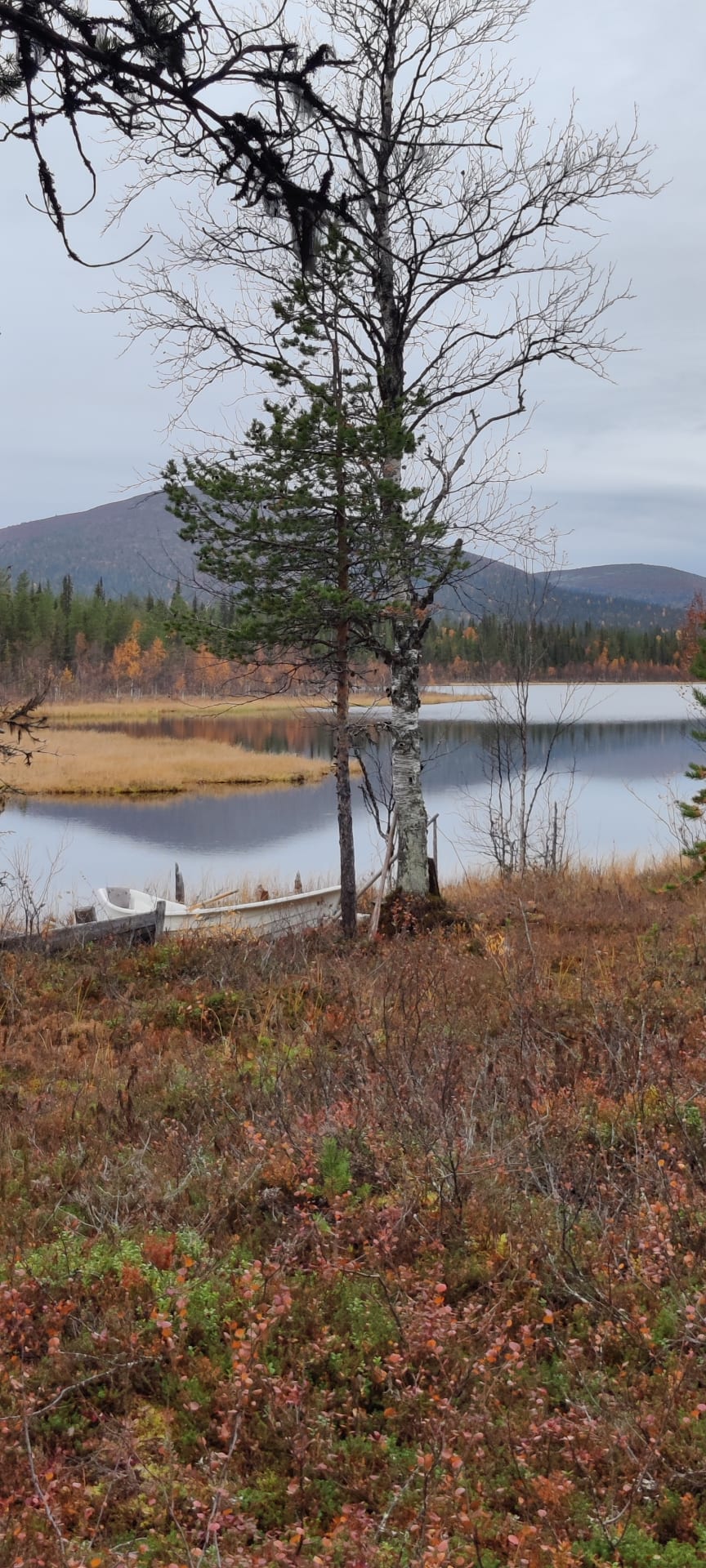 5 Day Trek in the Pallas-Ylläs Fells National Park | Visit Finland