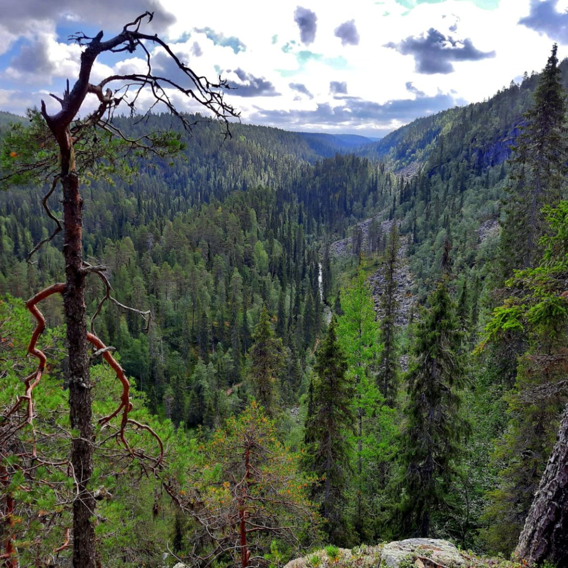 Day trip to Canyon of Korouoma | Visit Finland