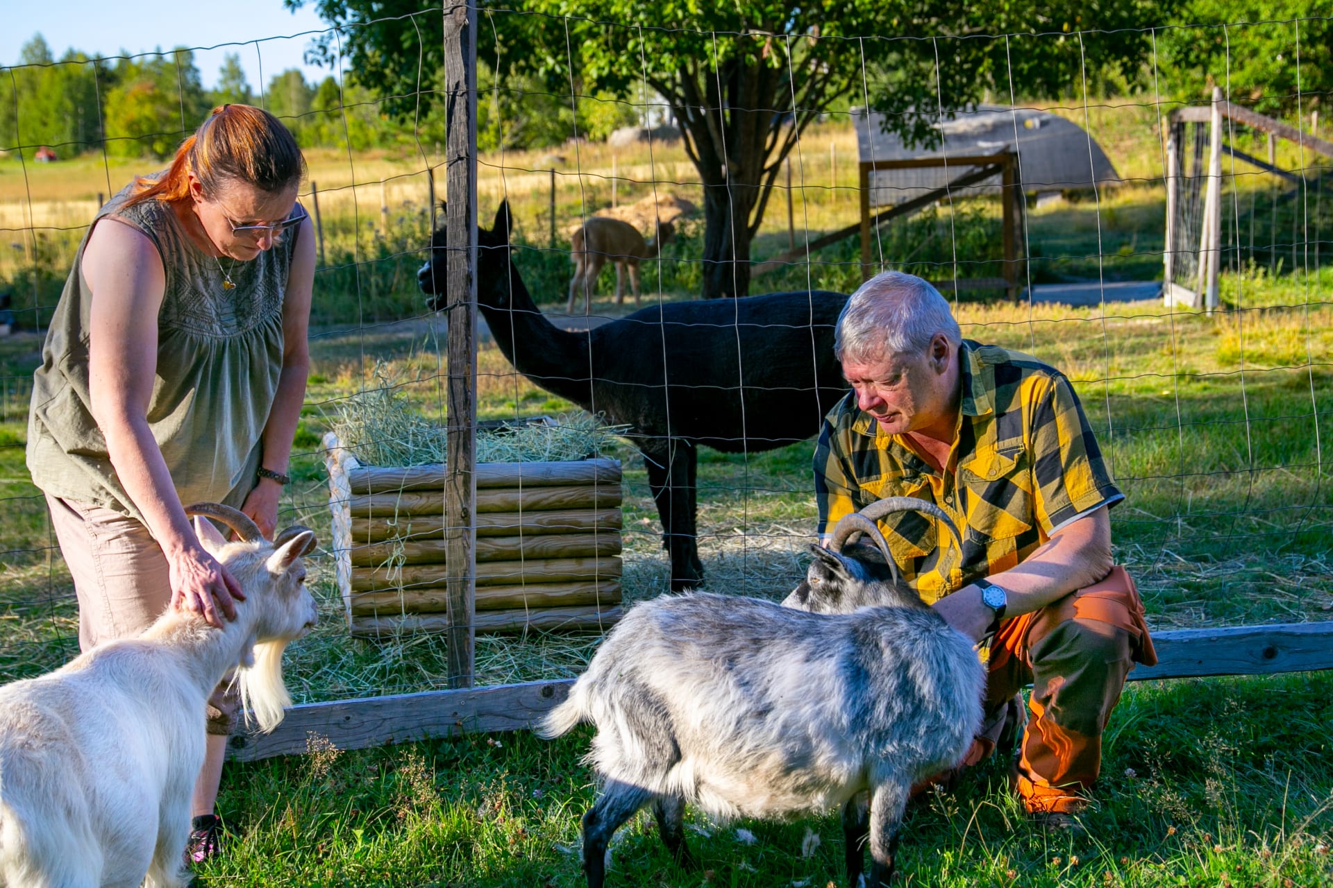 Farm Visit | Visit Finland