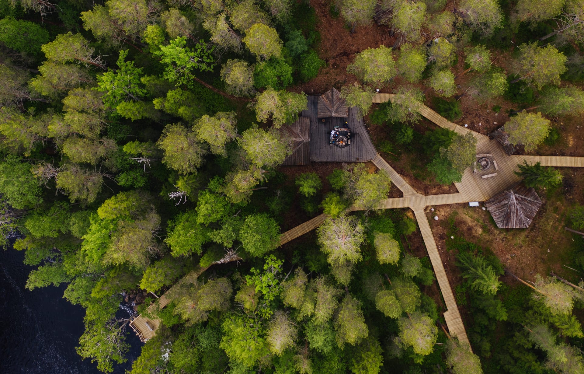 Feel the peace of the forest | Visit Finland